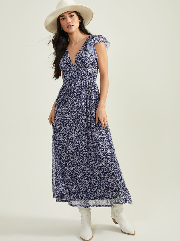Alejandra Mesh Maxi Dress in Navy & White | Altar'd State